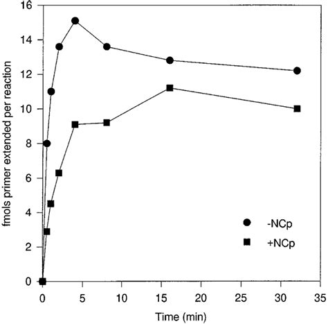 Graph Of Primer Extension Versus Time Heteroduplex Substrate Was