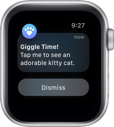 Watchos With Swiftui By Tutorials Chapter Notifications Kodeco