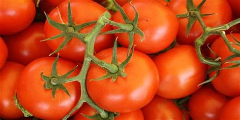 Tomate cuáles son sus beneficios y por qué es antienvejecimiento