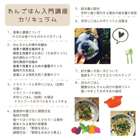 わんごはん入門講座はじめます♪【オンライン開催・1dayレッスン】