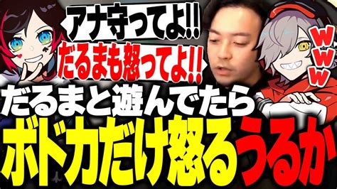 だるまと一緒にふざけてたら真っ先に怒られるボドカ【crカップボドカ釈迦だるまいずごっどうるかkamito】 Youtube