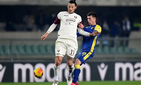 HVS HELLAS VERONA STYLE FATTA PER MILAN DJURIC
