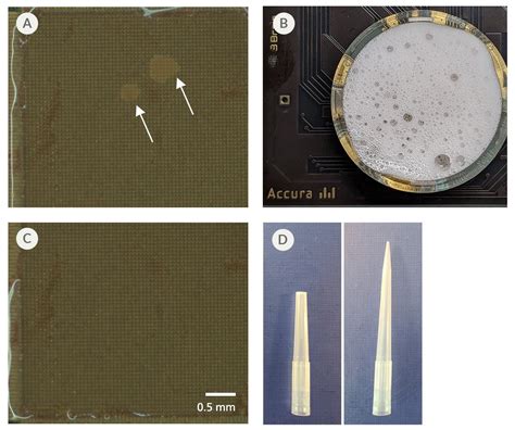 Multi Electrode Array Mea For Neural Organoids Stemcell Technologies