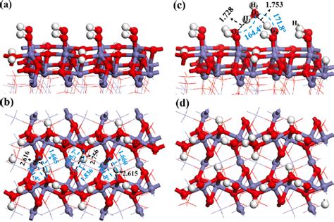 The Hydroxylation Models A Fully Hydroxylated Configuration Side Download Scientific Diagram