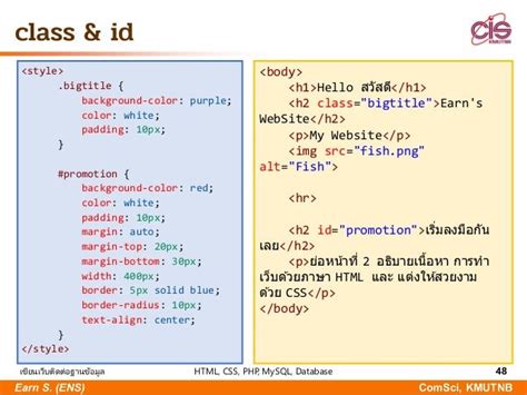 Html Css Phpmysql Database เขียนเว็บติดต่อฐานข้อมูล เริ่ม จาก 0 ศูนย์ Pdf