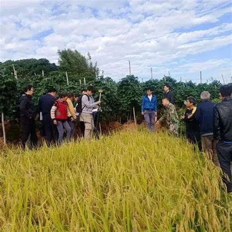 濛江站建设又有新进展！柳梧铁路（濛江段）征地搬迁工作正式启动江镇