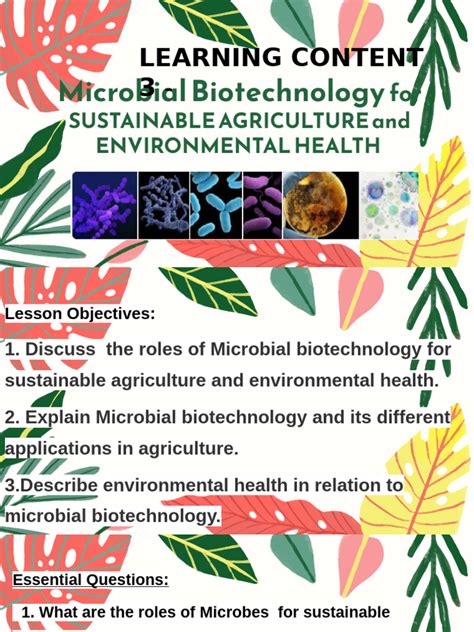Role Of Microbial Biotech For Sustainable Agriculture And Environmental Healthcopy Of World