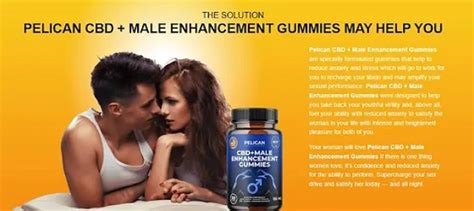 Pelican Cbd Male Enhancement Gummies Benefits Ingredients Side