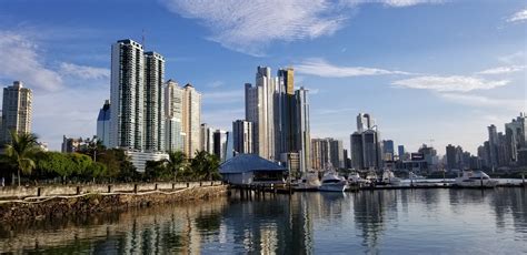 Square Tree Corporation Posted On Linkedin