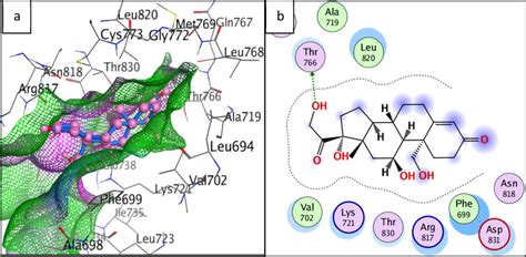 3d A And 2d B Putative Binding Interactions Of Derivative Od3