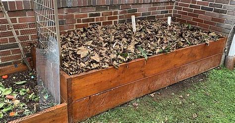 Raised Bed Composting Album On Imgur