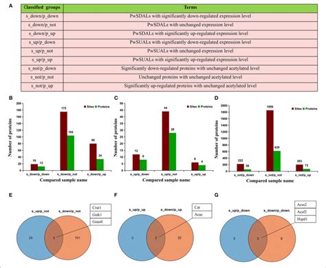 Integrated Analysis Of Proteome And Acetyl Proteome Data A The