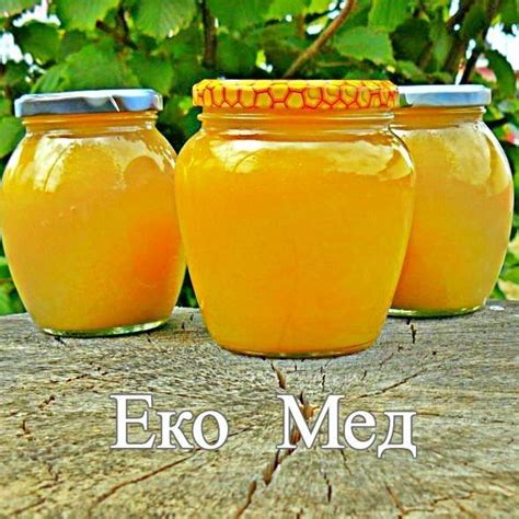 Еко Мед