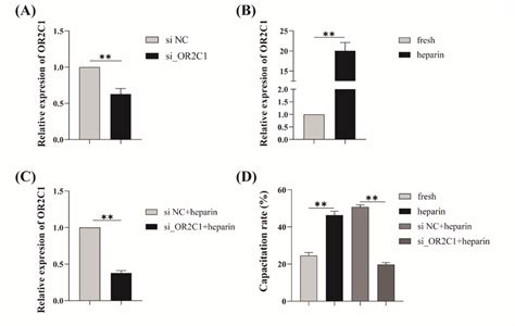Histograms Of Relative MRNA Expression Of OR2C1 And Sperm Capacitation