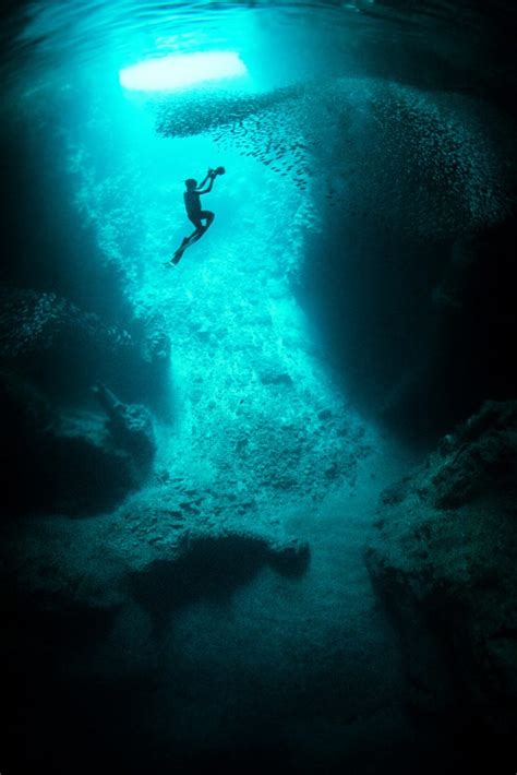 Dance With Fish Po Delta Contest Concorso Fotografico