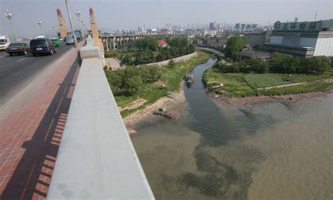 China Considera Prohibir La Pesca En El Río Yangtze Por Un Número De