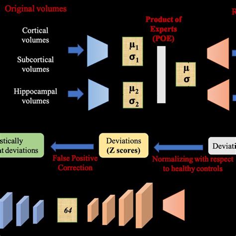 Our Proposed Multimodal Normative Modeling Framework Mmvae Cortical Download Scientific
