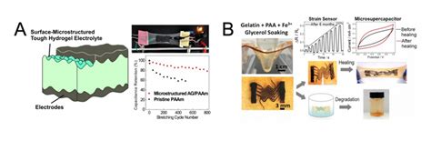 谢庄副教授课题组在水凝胶基可拉伸电子器件研究方面取得进展 中山大学材料科学与工程学院