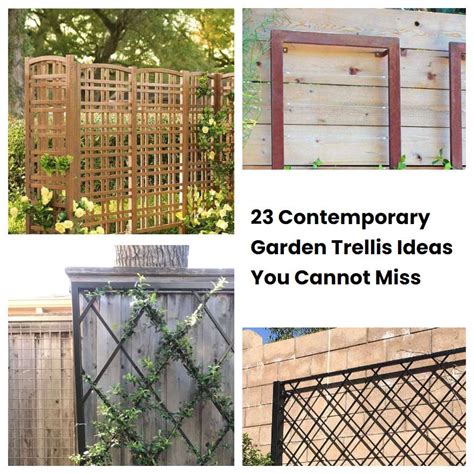23 Contemporary Garden Trellis Ideas You Cannot Miss Sharonsable