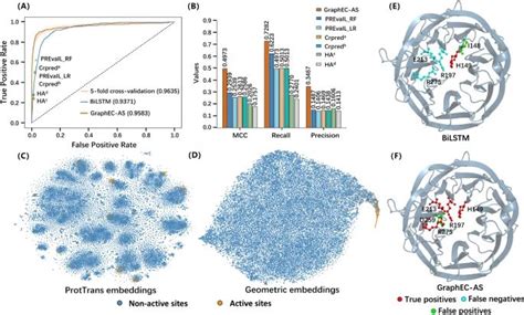 Reisel González Pérez On Linkedin Accurately Predicting Enzyme Functions Through Geometric