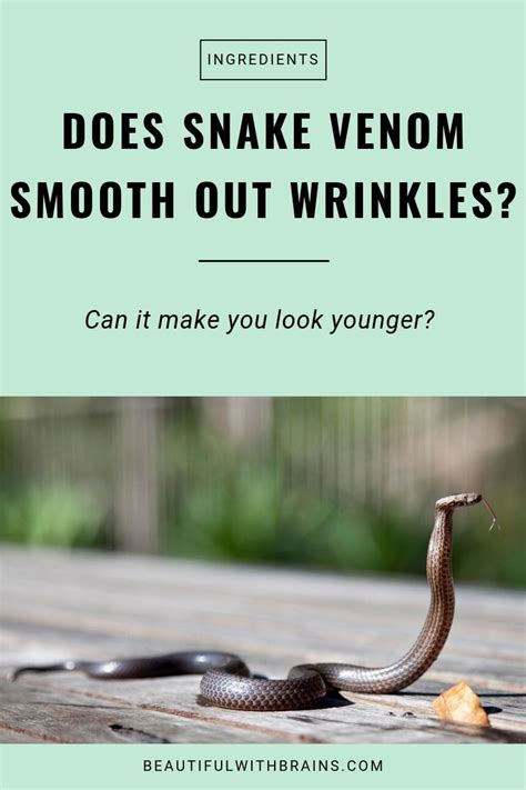 Snake Venom Skin Care