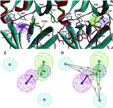Development Of Hybrid Pharmacophore Model The Key Pharmacophoric