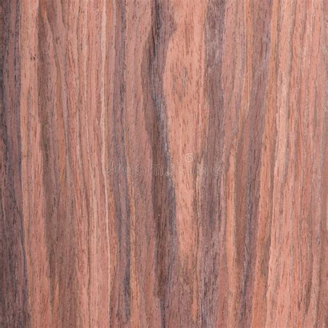 Walnut Wood Grain Stock Image Image Of Brown Natural 35245671