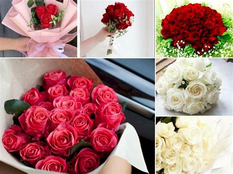 Tải Hoa Hồng đẹp Tặng Ngay Cho Người Thân Yêu Của Bạn Tạo Hứng Thú