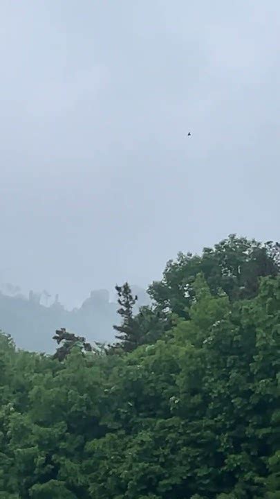 아침 우는 새 “나의 가는 길을 오직 그가 아시나니 그가 나를 단련하신 후에는 내가 정금 같이 나오리라” 욥 23 10 개역한글 명절 끝날 영적시간대 Youtube