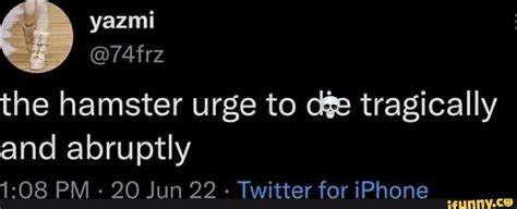 Yazmi The Hamster Urge To Tragically And Abruptly PM 20 Jun 22