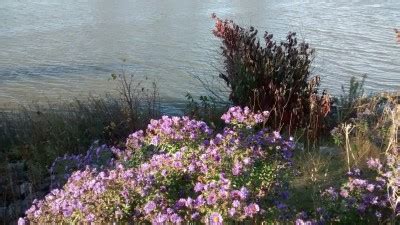 Tatiana Hilton Fotos