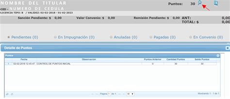 ¿cómo Recuperar Los Puntos De La Licencia De Conducir 2021