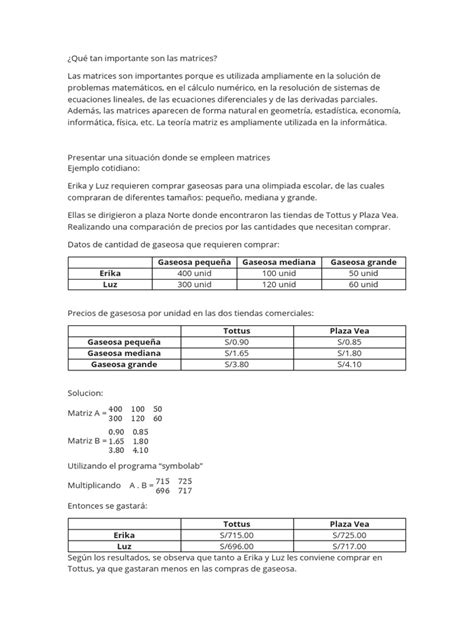 Qué Tan Importante Son Las Matrices Pdf