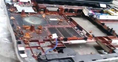 Computer Bug Spine Crawling Video Shows Laptop Infested With COCKROACHES Mirror Online