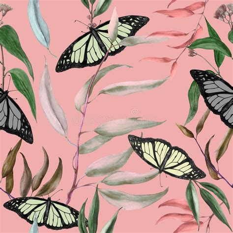 Watercolor Eucaliptus Stock Illustrations 739 Watercolor Eucaliptus