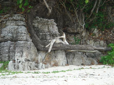 Natures Porn Gallery Ebaums World