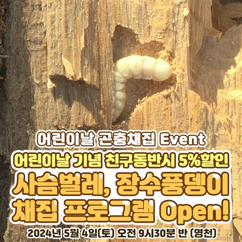 해오름곤충연구소 곤충체험학습 유아동체험학습 초등학생곤충체험학습