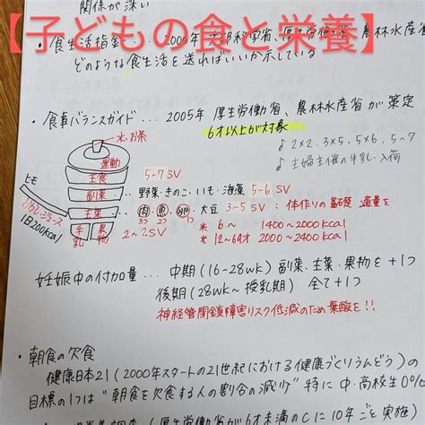 保育士試験〜子どもの食と栄養〜2024オリジナル問題集 By メルカリ