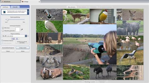Collage Maken Met Picasa
