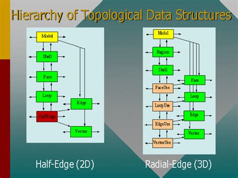 The Hierarchy Of The Radial Edge And Half Edge Data Structures The