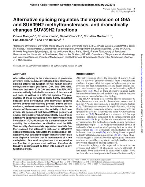 Pdf Involvement Of Small Arfgap1 Smap1 A Novel Arf6 Specific