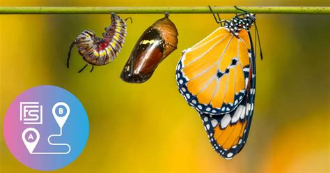 Transform Your Fleet Route Planning