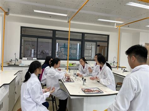我们的校园 广州市斐特思学校