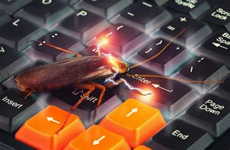 How To Get Roaches Out Of Laptop Beatpests