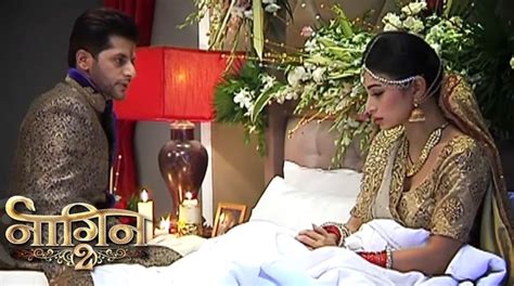 Naagin 2 29th April 2017 Full Episode Written Update Yamini Plans To