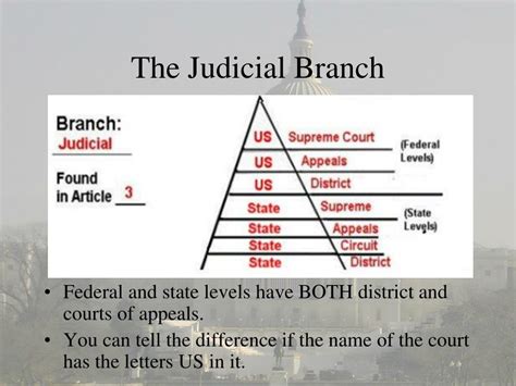Ppt The Structure Of American Government Powerpoint Presentation