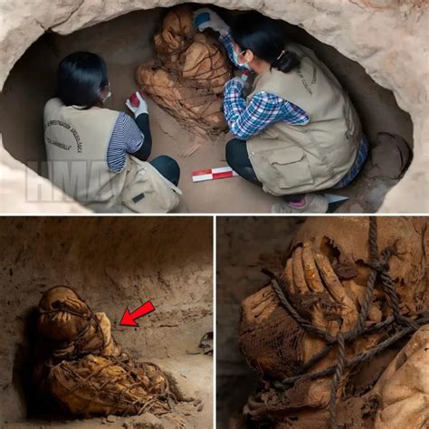 Ancient Mystery Unveiled Pre Incan Mummy Discovered Bound And Hidden