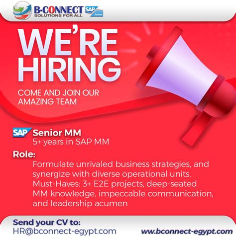 B Connect Sap Gold Partner On Linkedin Hiringnow Sapmm