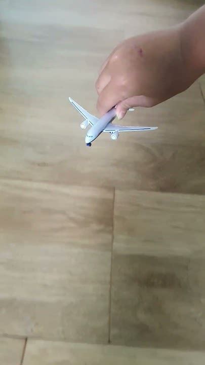 출처 잘생긴 베이컨 비둘기트렉스 Youtube