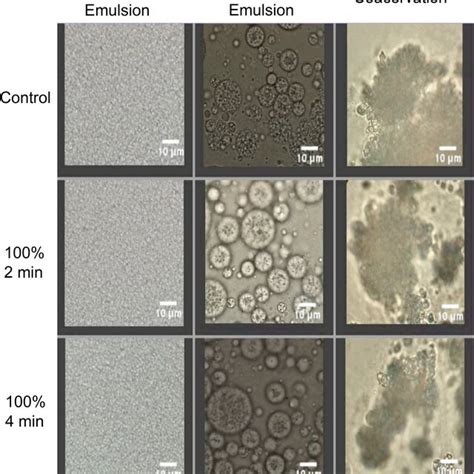 Optical Micrographs Of The First Emulsion Double Emulsion And